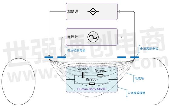 芯海基于人体成分测量的高精度生物传感AFE芯片CS1253，荣登“中国芯”优秀技术创新产品榜单