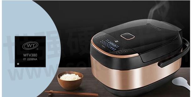 唯创知音语音芯片WTVxxx系列，支持多种通信协议，方便用户根据需要进行灵活的定制化设置