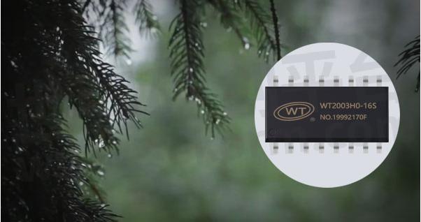 唯创知音WT2605C与WT2003HX系列语音芯片，提供高品质白噪音音乐播放的优选解决方案