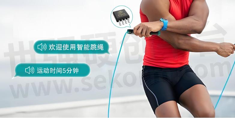 智能跳低成本WT6020-8S OTP语音芯片，实现跳绳计数、运动时间、卡路里消耗等信息的语音播报功